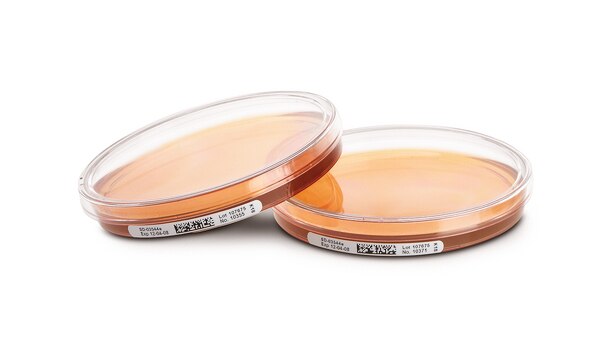 LI Settle Plates - LI Settle Plates